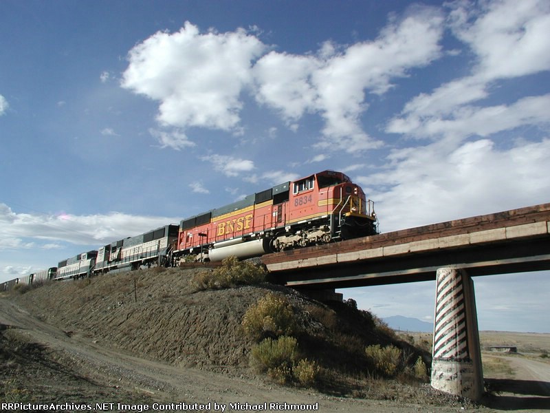 BNSF 8834